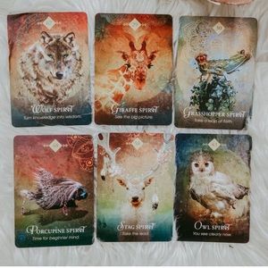 Other | Spiritanimaloracle | Poshmark